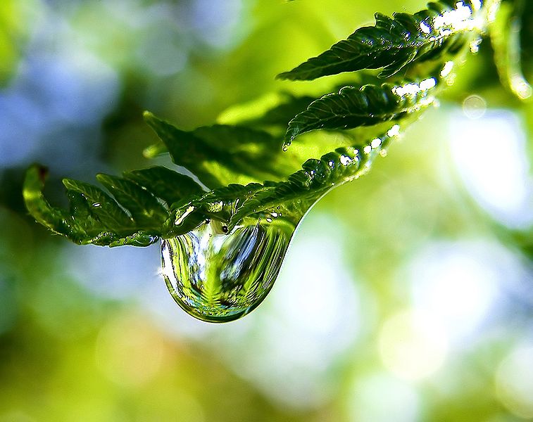 A Single Drop - Water Education Colorado