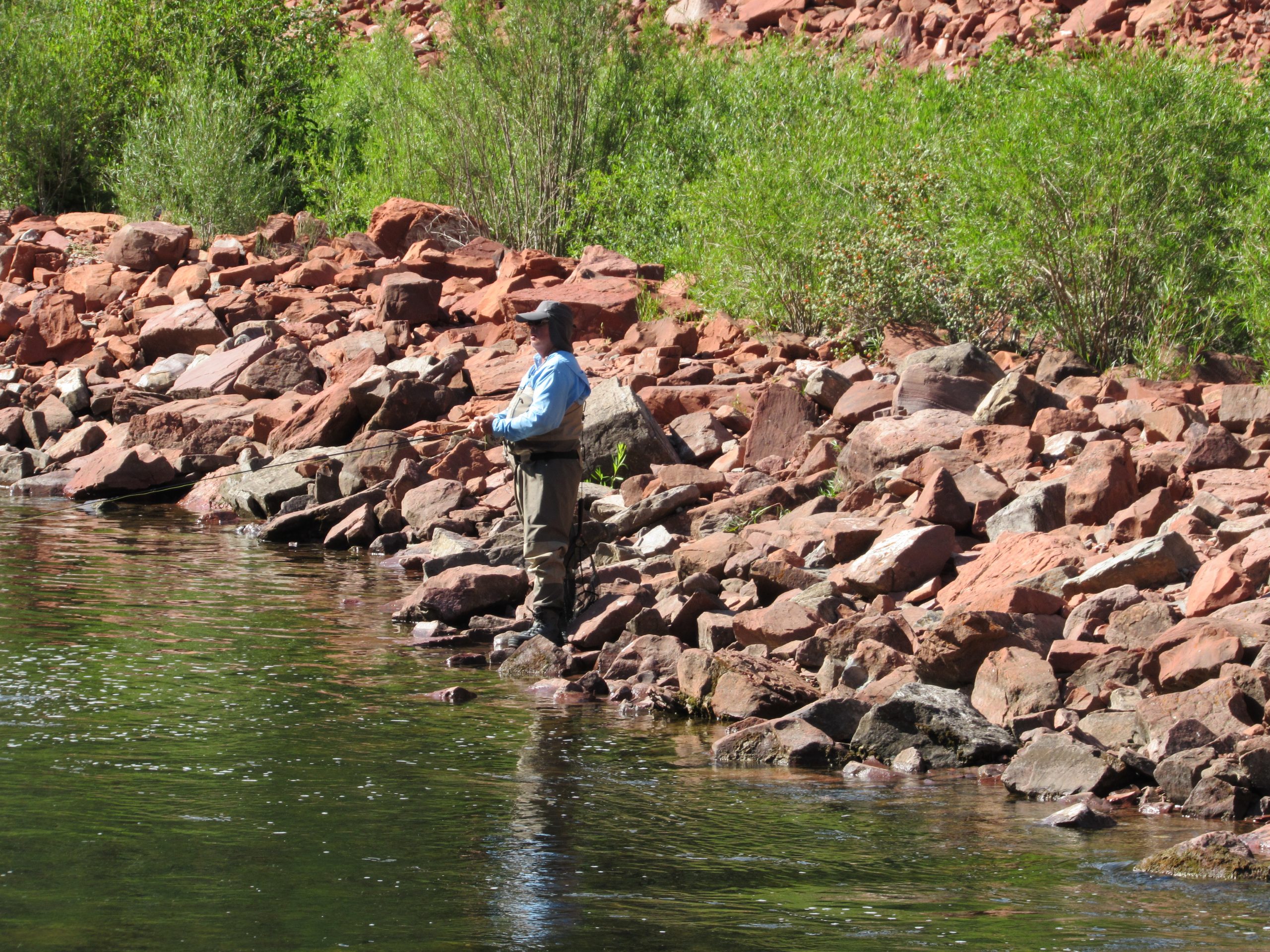 Water-saving rule, passed with high hopes, goes nowhere - Water ...