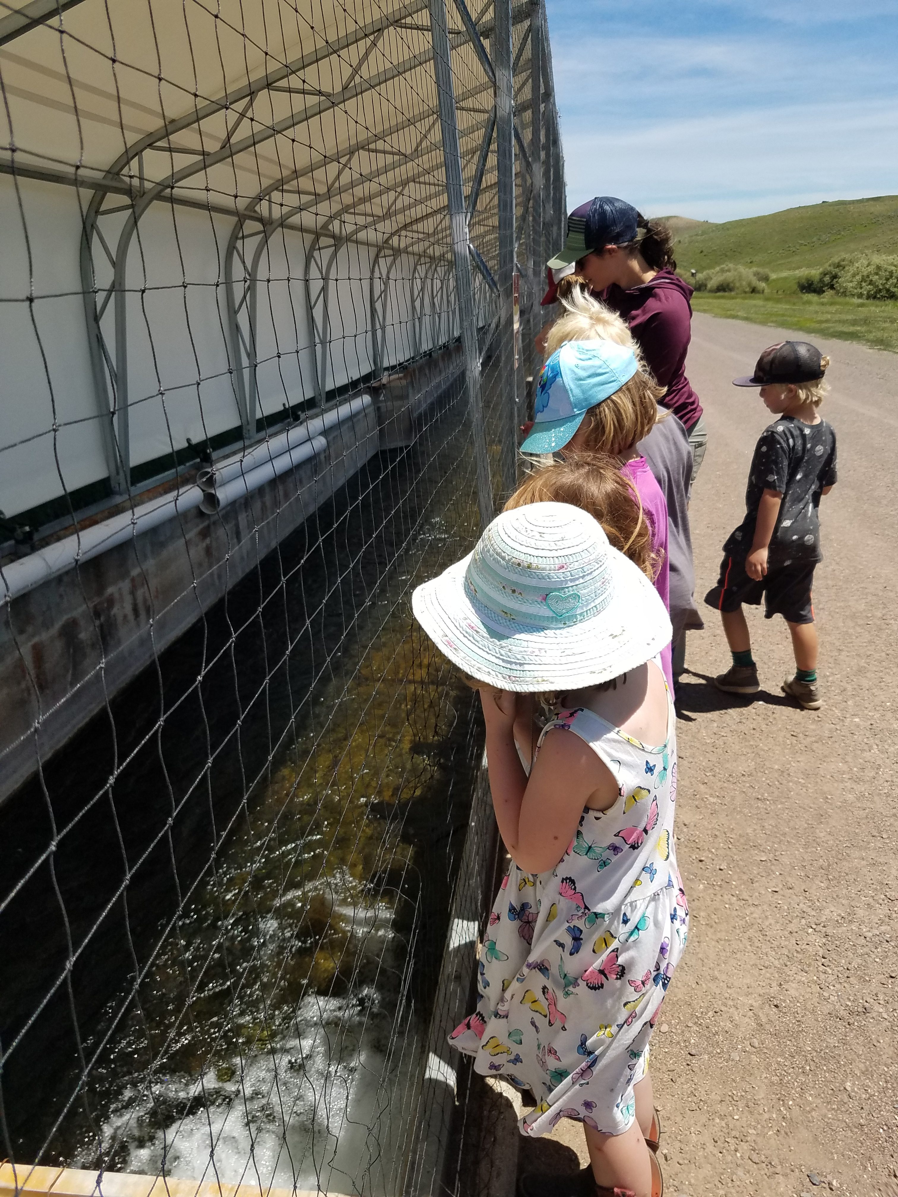 Statewide Water Education Action Plan - Water Education Colorado